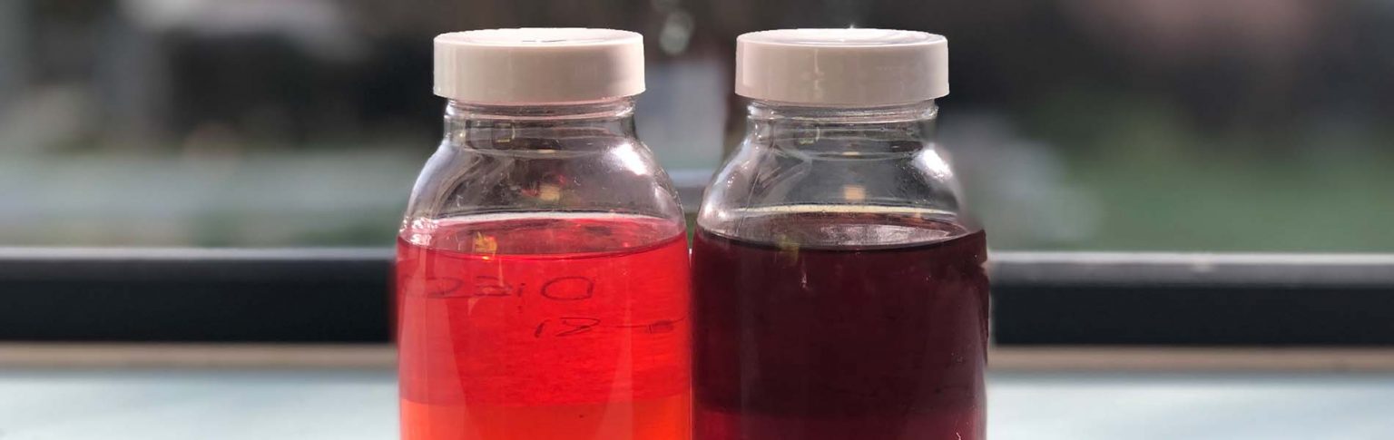 Winter Blend vs Summer Blend Diesel (DERV) | Crown Oil